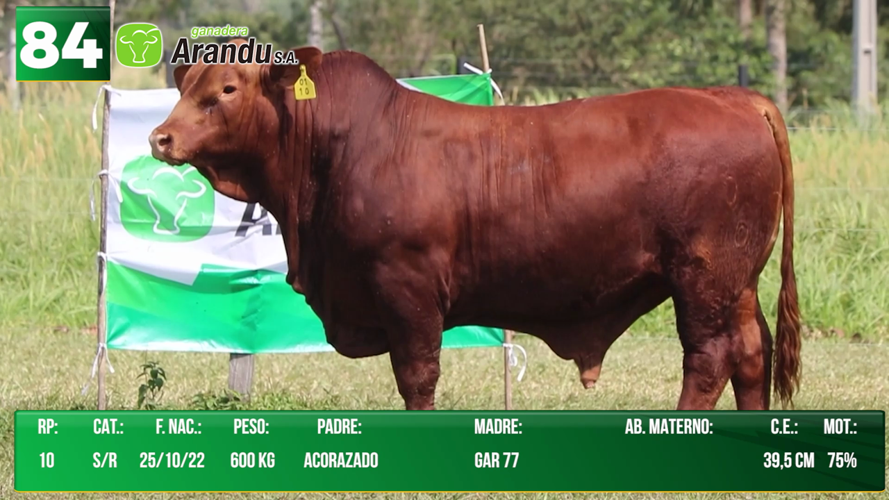 Ferusa - Subastas - LOTE 84