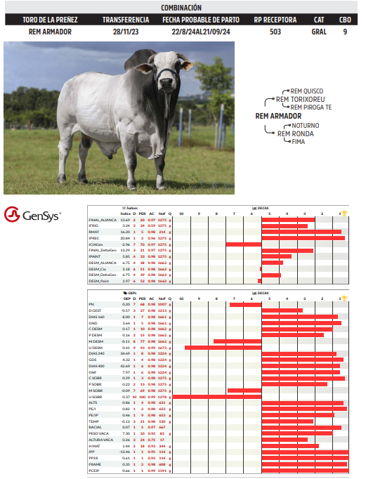 Ferusa - Subastas - LOTE 46