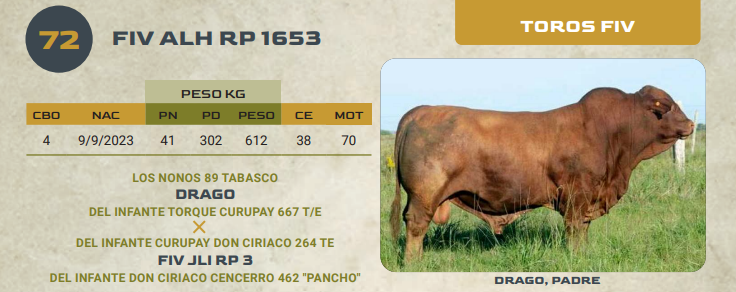 Ferusa - Subastas - LOTE 72