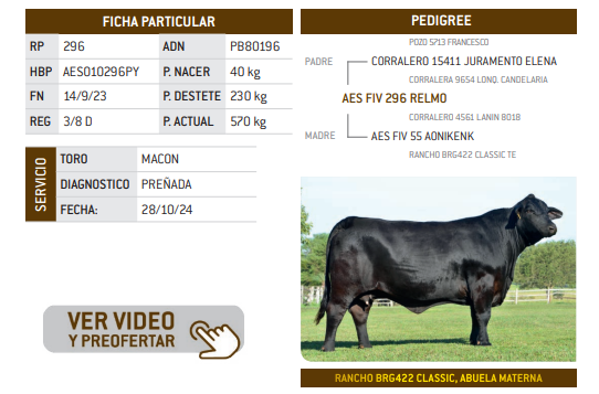 Ferusa - Subastas - LOTE 1