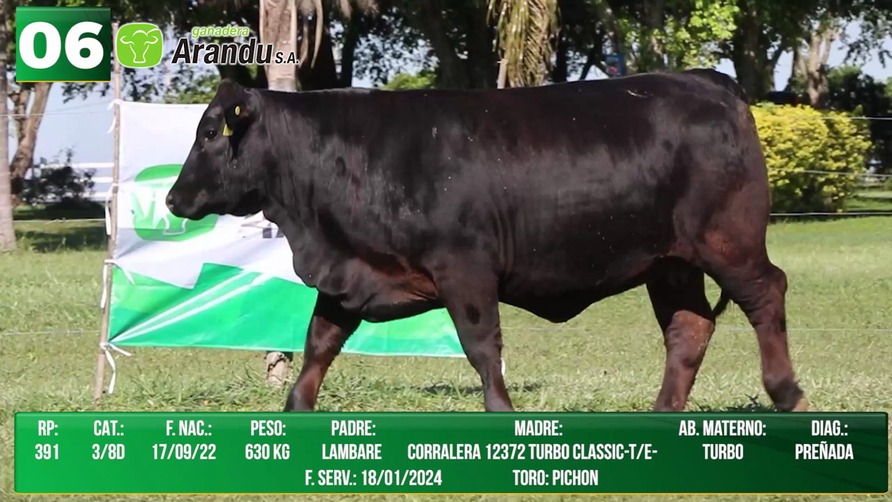 Ferusa - Subastas - LOTE 6