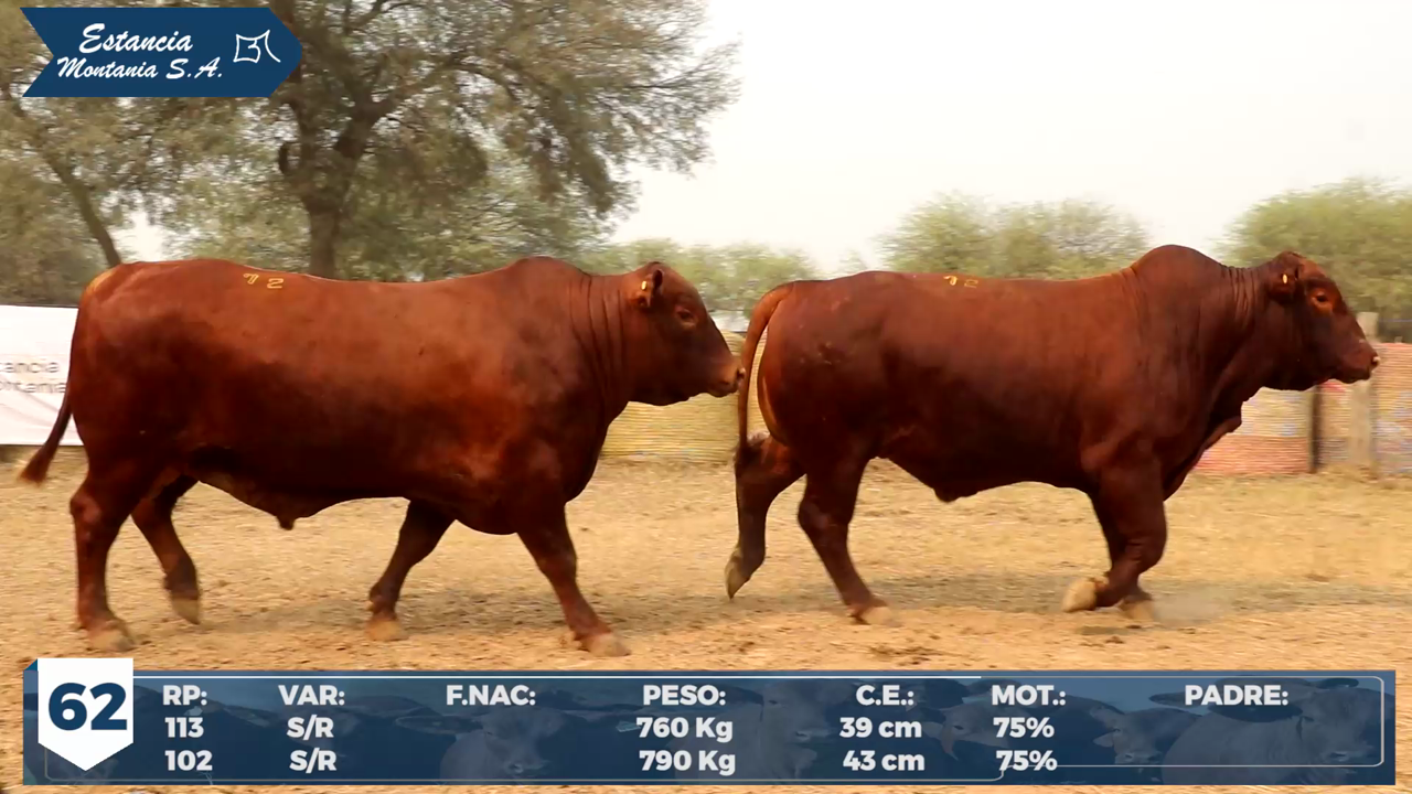 Ferusa - Subastas - LOTE 62