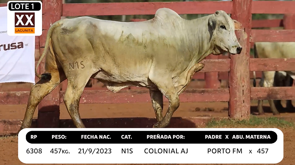 Ferusa - Subastas - LOTE 1