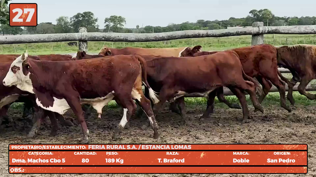 Ferusa - Subastas - LOTE 27