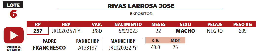 Ferusa - Subastas - LOTE 6