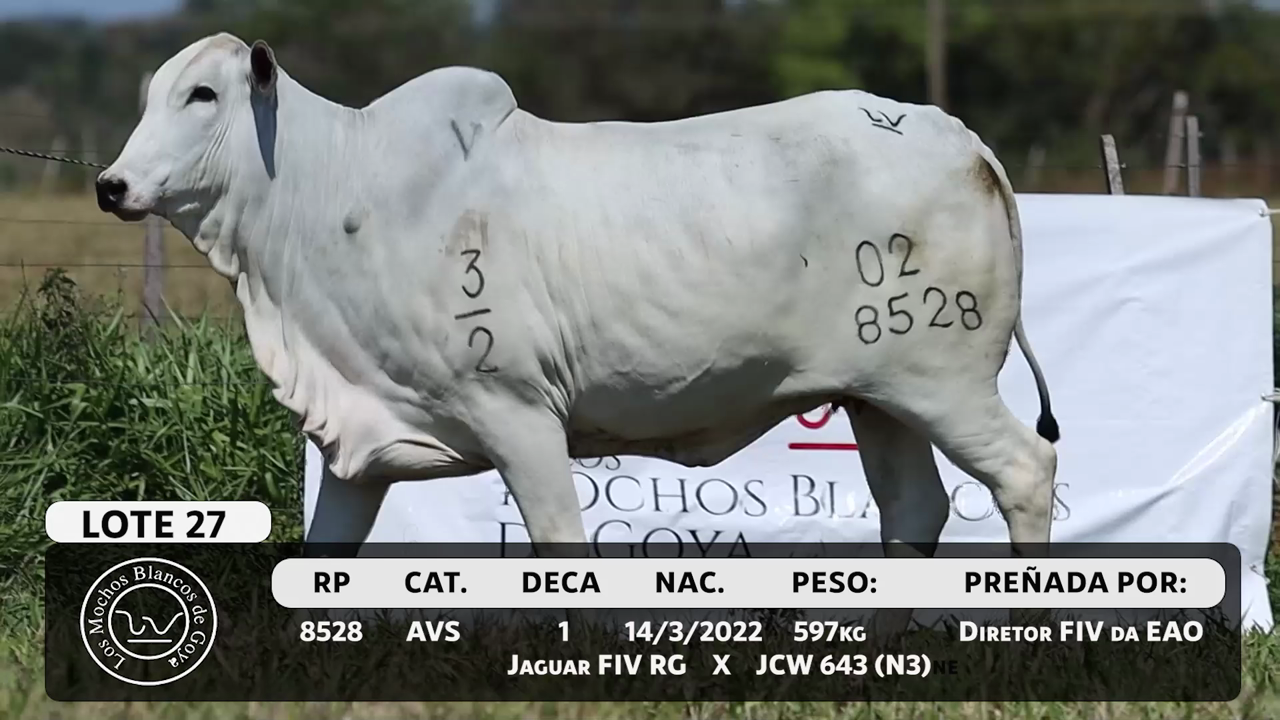 Ferusa - Subastas - LOTE 27