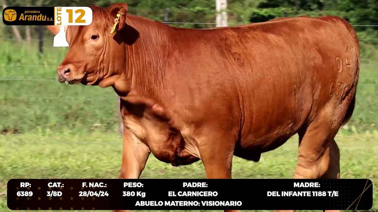 Ferusa - Subastas - LOTE 12