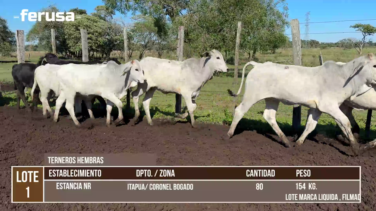 Ferusa - Subastas - LOTE 1