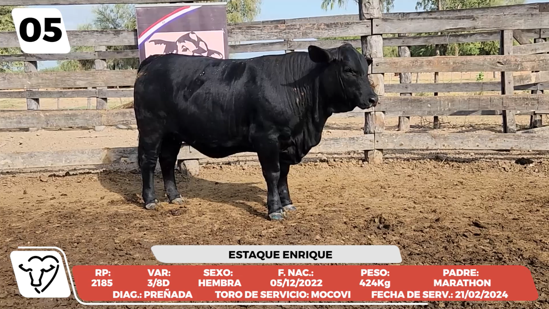 Ferusa - Subastas - LOTE 5