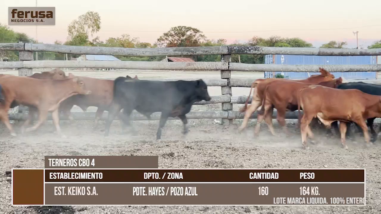 Ferusa - Subastas - LOTE 5