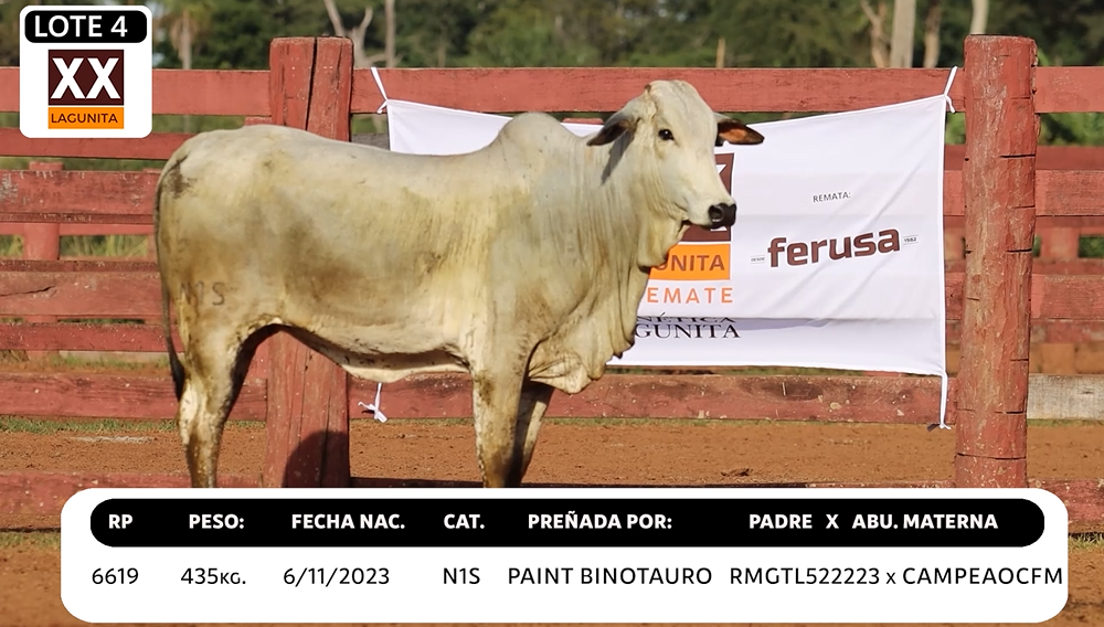 Ferusa - Subastas - LOTE 4