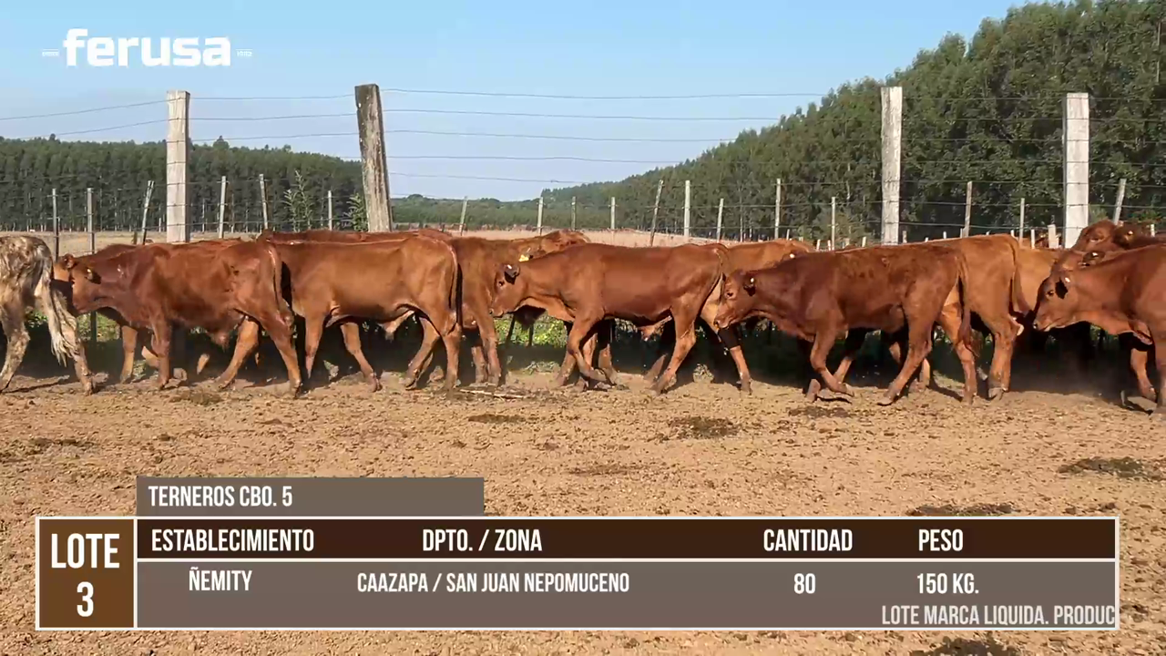 Ferusa - Subastas - LOTE 3