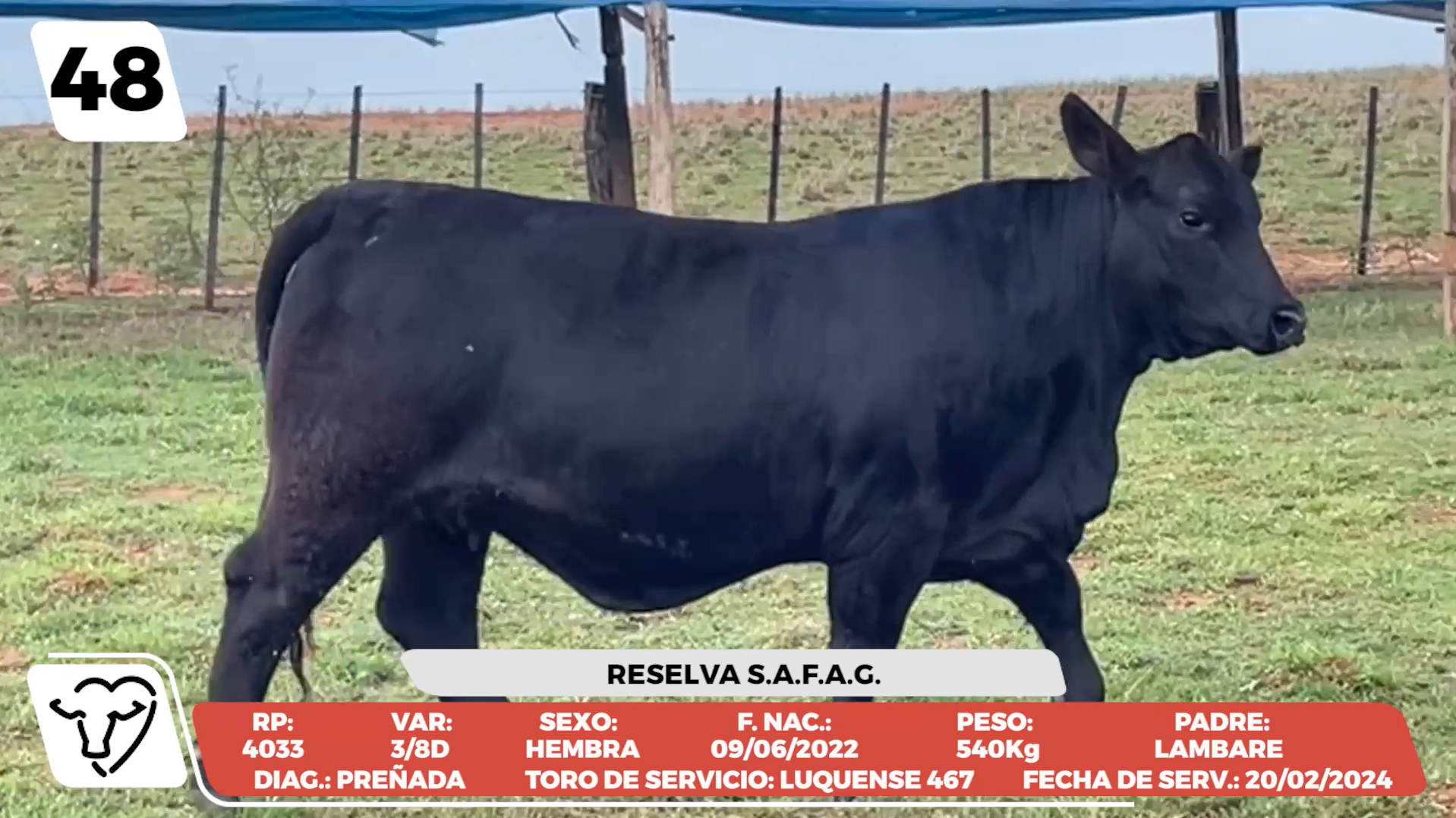 Ferusa - Subastas - LOTE 48