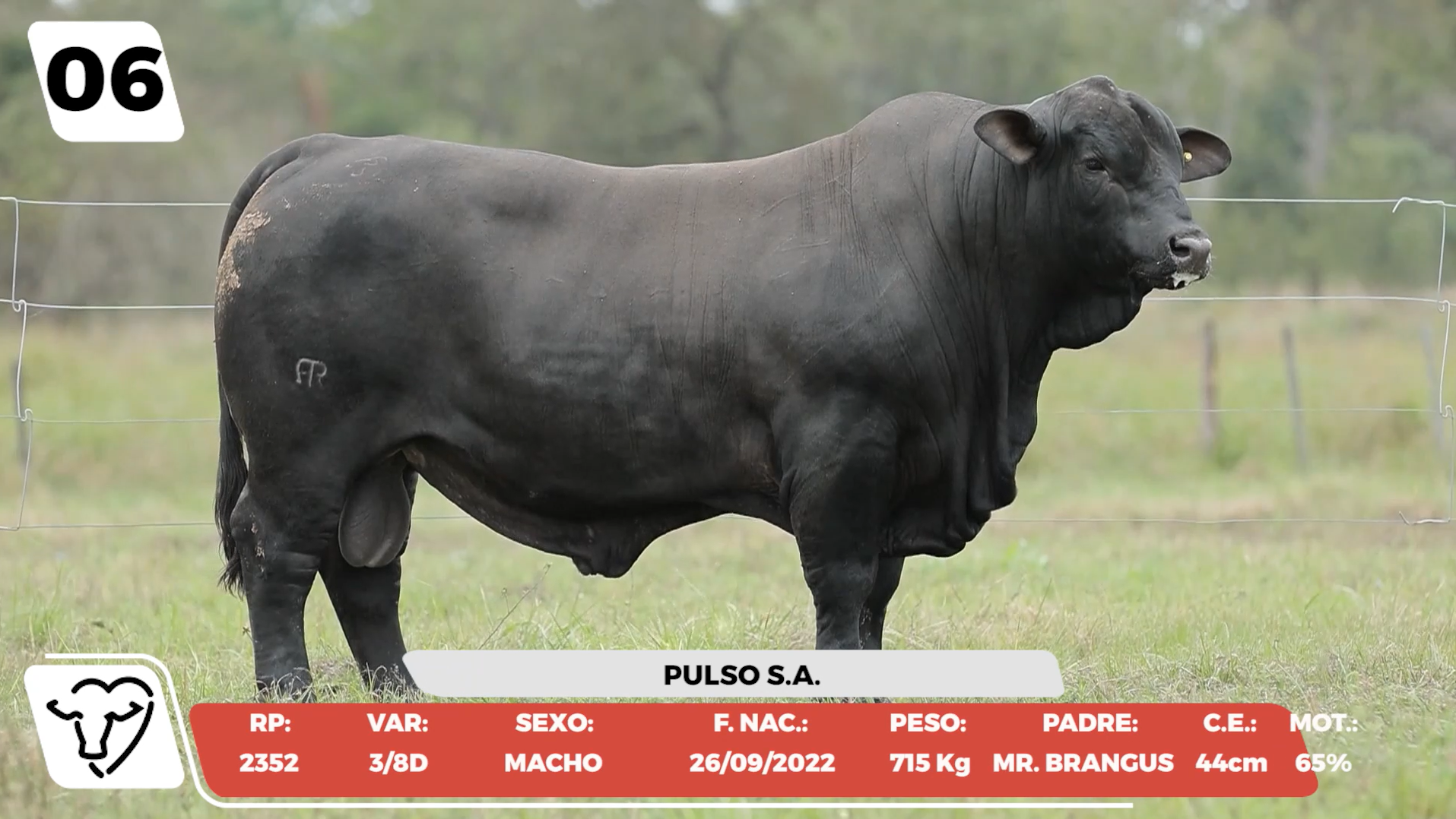 Ferusa - Subastas - LOTE 6
