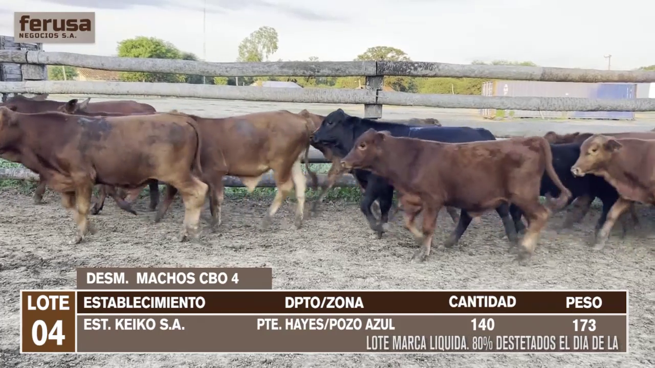 Ferusa - Subastas - LOTE 4