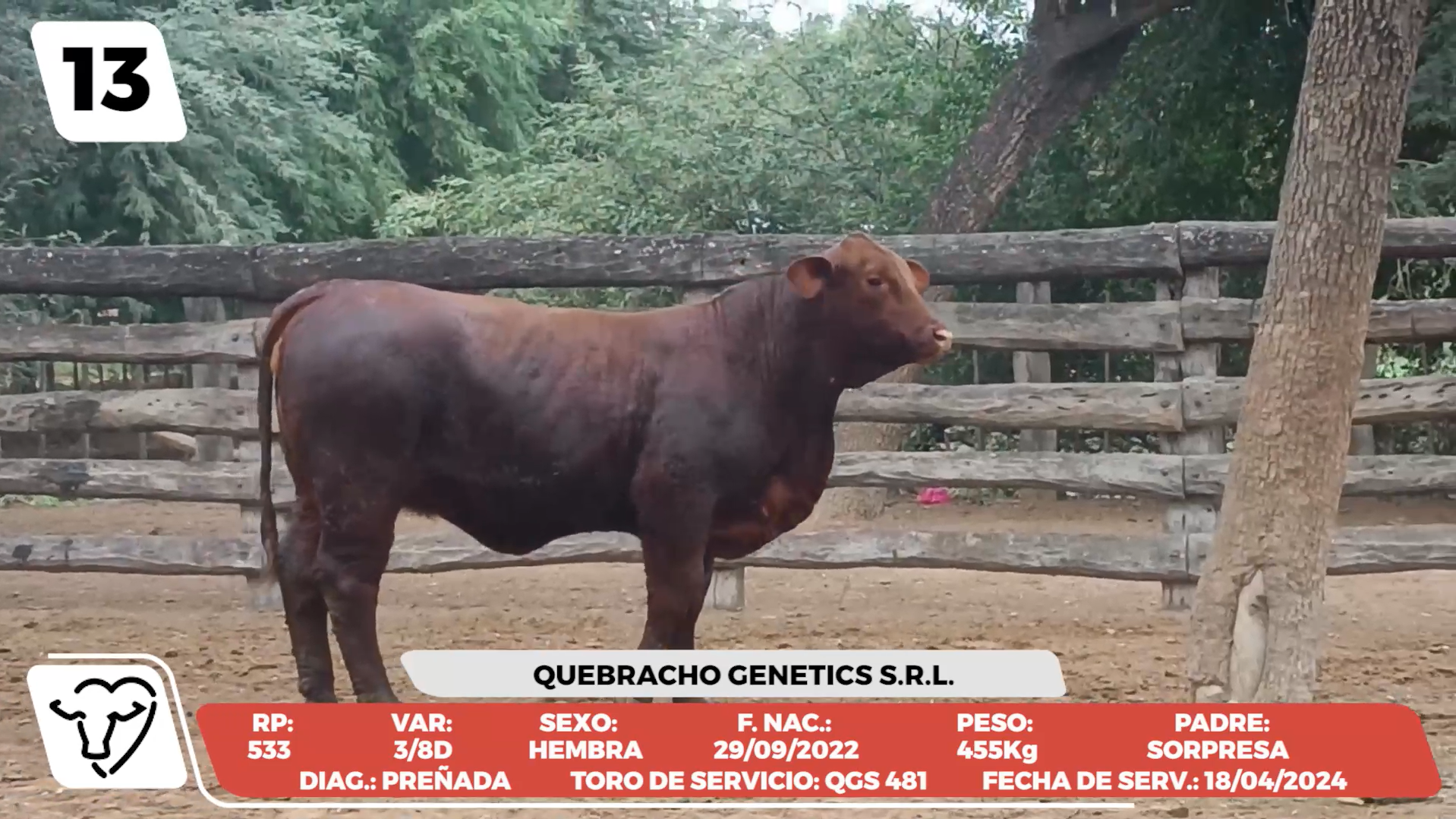 Ferusa - Subastas - LOTE 13