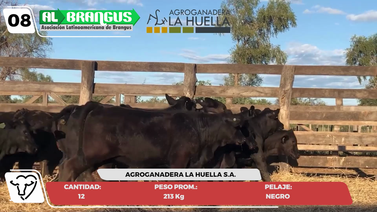 Ferusa - Subastas - LOTE 8