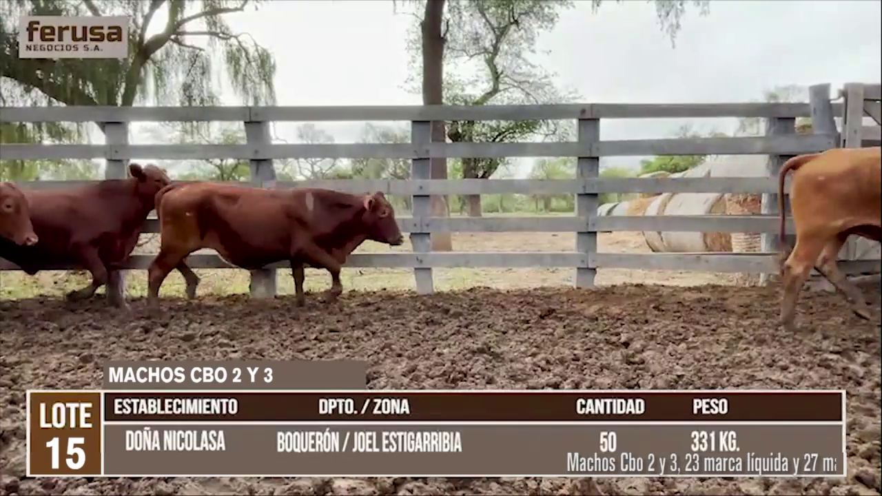 Ferusa - Subastas - LOTE 15