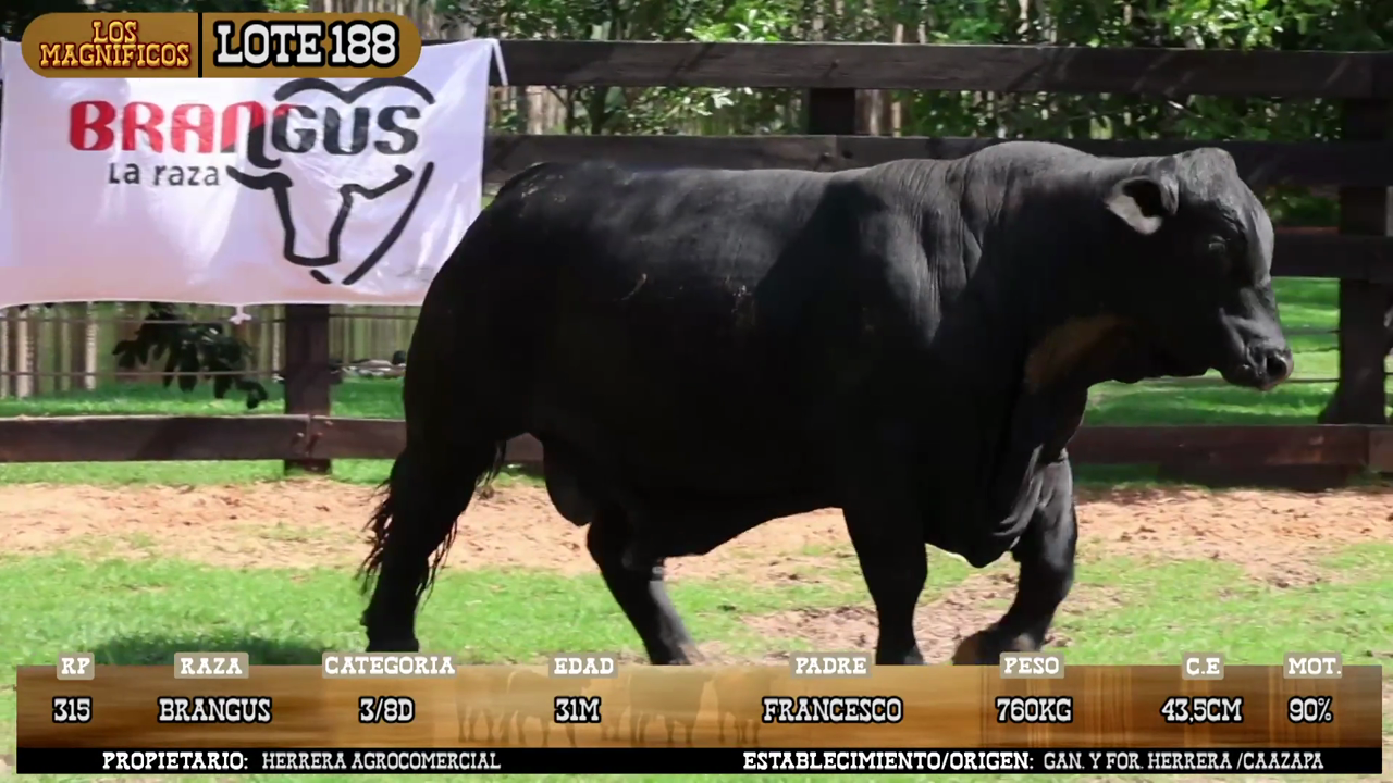 Ferusa - Subastas - LOTE 188