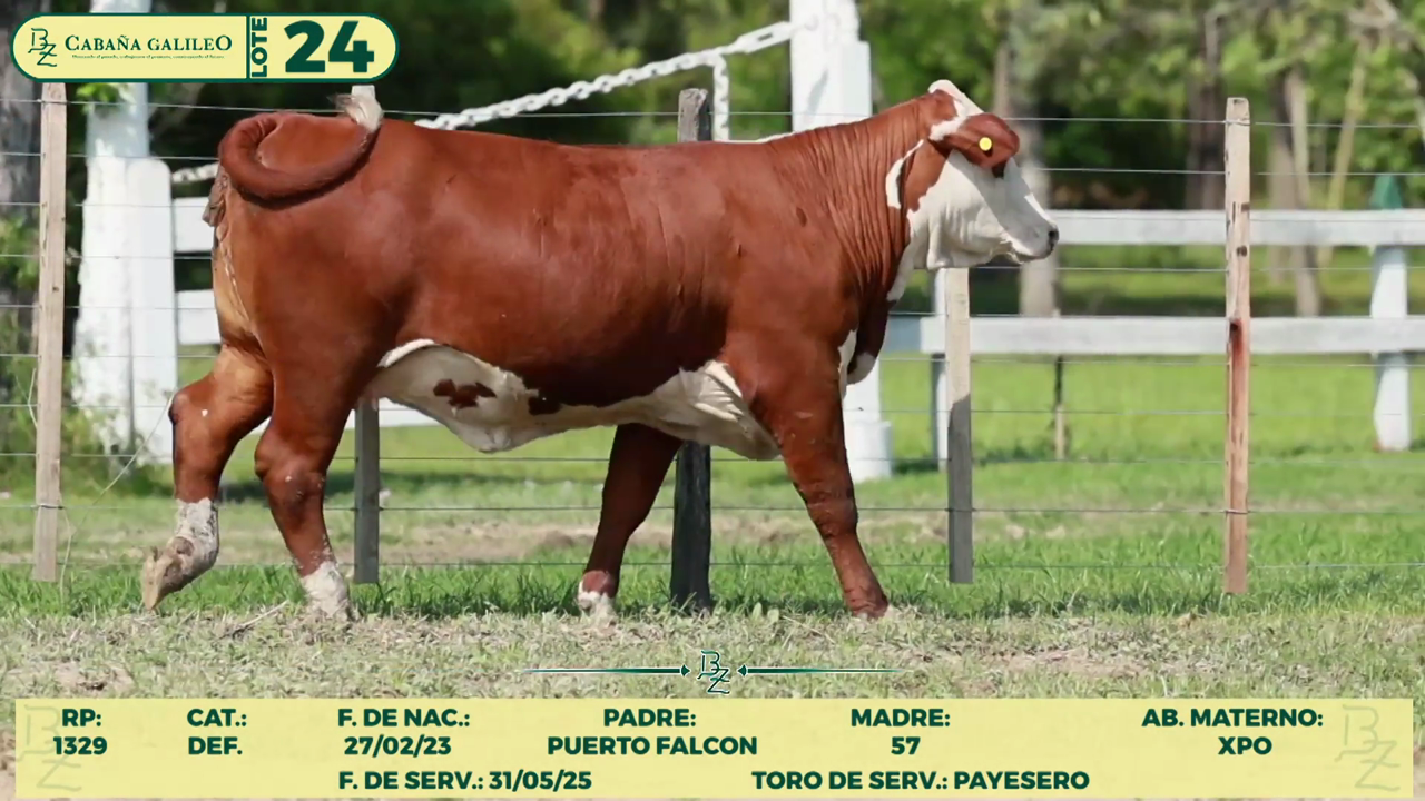 Ferusa - Subastas - LOTE 24
