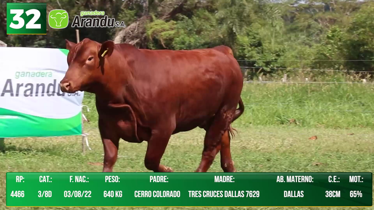 Ferusa - Subastas - LOTE 32