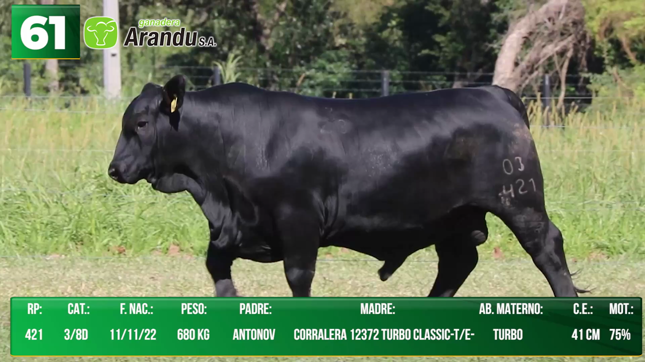 Ferusa - Subastas - LOTE 61