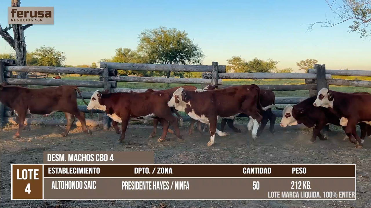 Ferusa - Subastas - LOTE 4