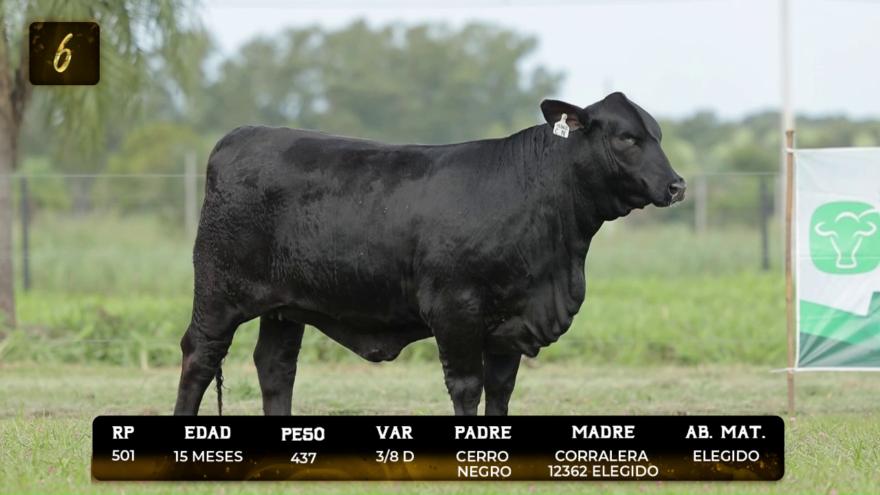 Ferusa - Subastas - LOTE 6