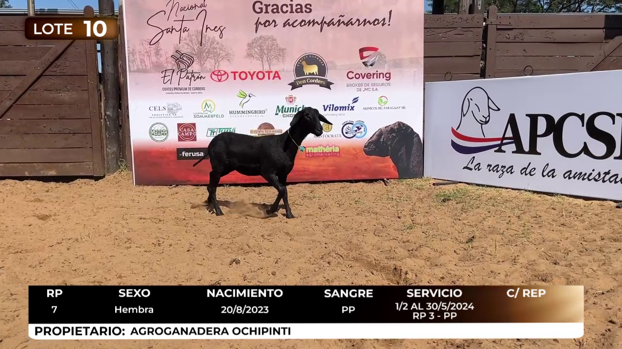Ferusa - Subastas - LOTE 3 DE CATALOGO