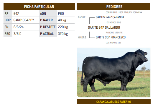 Ferusa - Subastas - LOTE 38