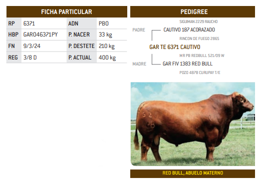 Ferusa - Subastas - LOTE 32