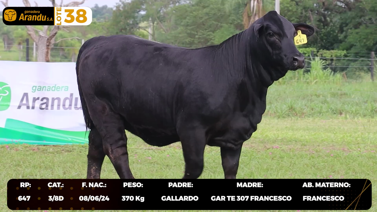 Ferusa - Subastas - LOTE 38