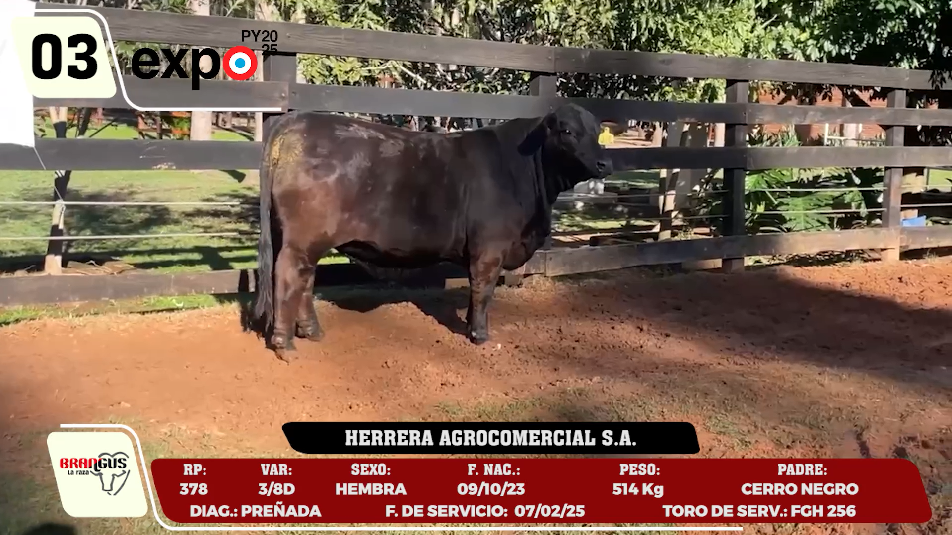 Ferusa - Subastas - LOTE 3