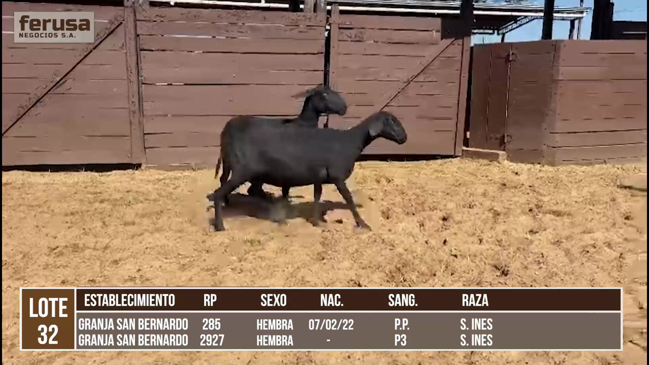 Ferusa - Subastas - LOTE 32