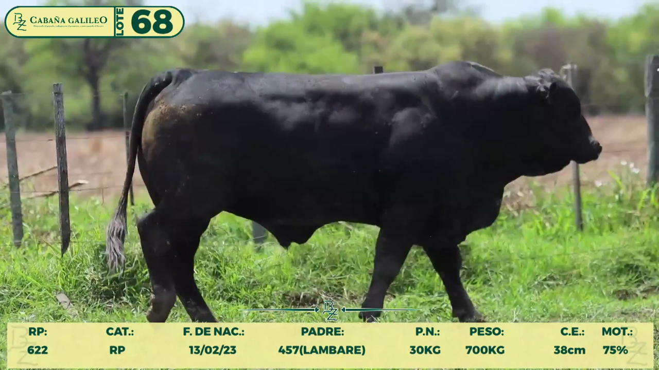 Ferusa - Subastas - LOTE 68