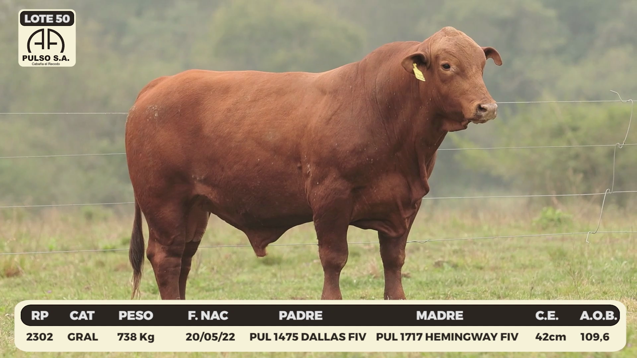 Ferusa - Subastas - LOTE 50