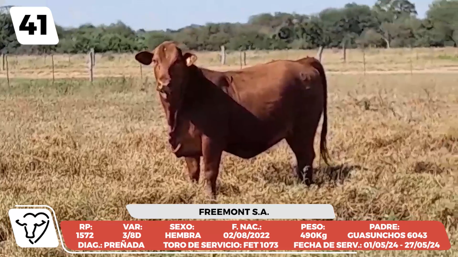 Ferusa - Subastas - LOTE 41