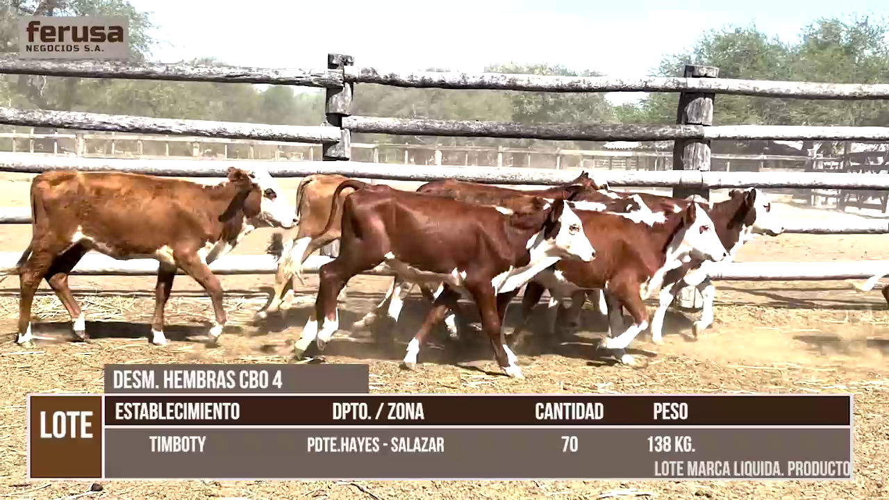 Ferusa - Subastas - LOTE 1