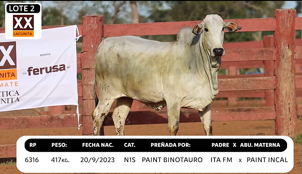 Ferusa - Subastas - LOTE 2