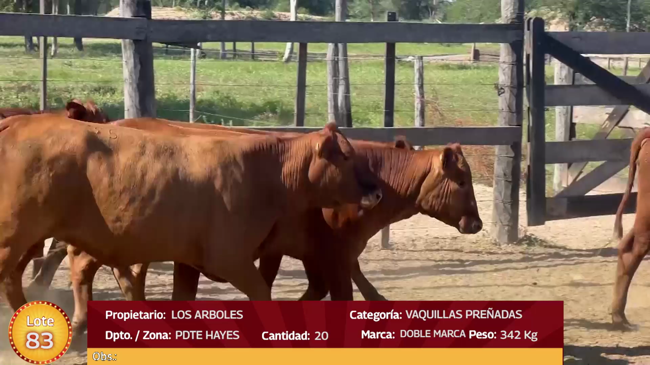 Ferusa - Subastas - LOTE 83