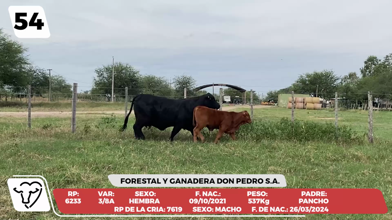 Ferusa - Subastas - LOTE 54