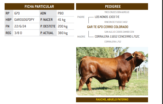 Ferusa - Subastas - LOTE 40
