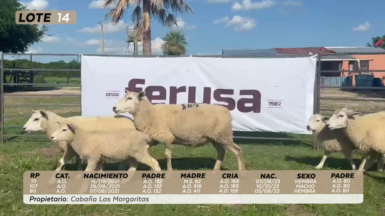 Ferusa - Subastas - LOTE 14