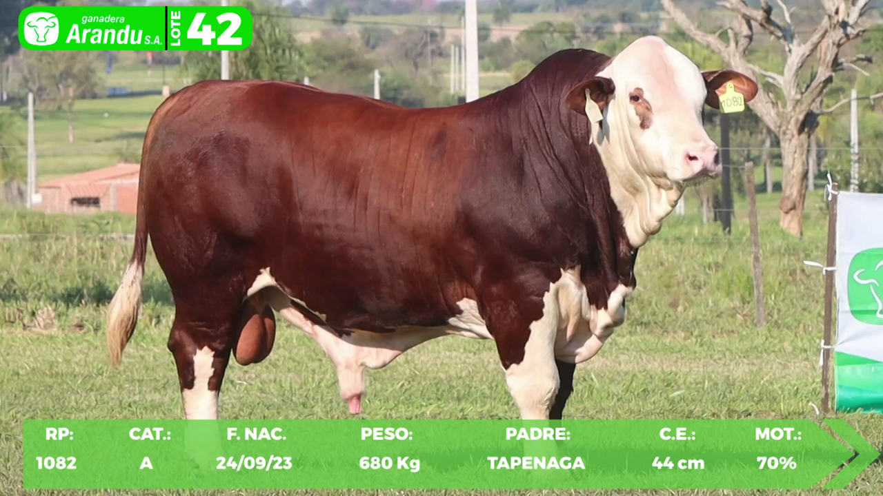 Ferusa - Subastas - LOTE 42