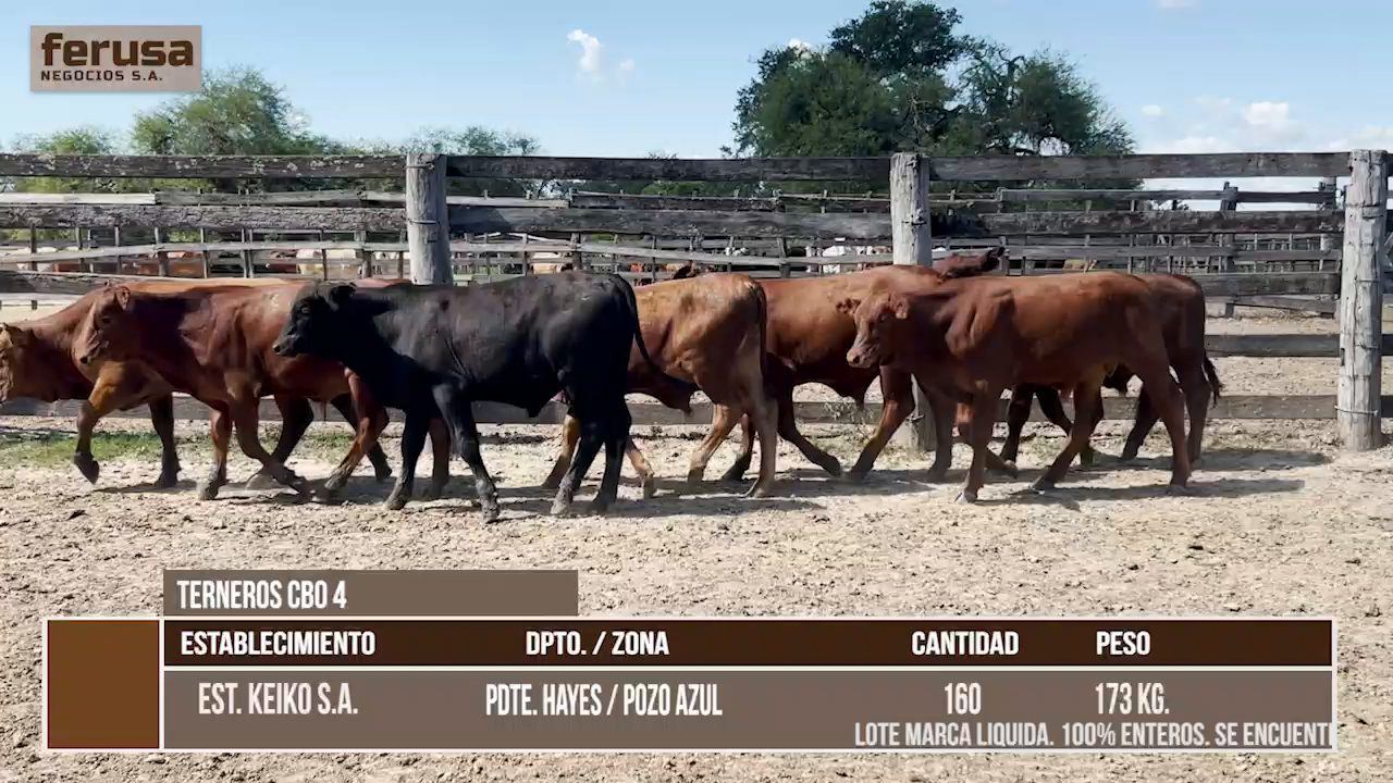 Ferusa - Subastas - LOTE 6