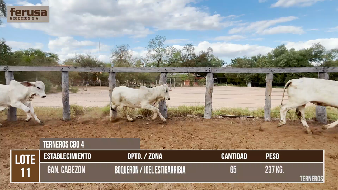 Ferusa - Subastas - LOTE 11