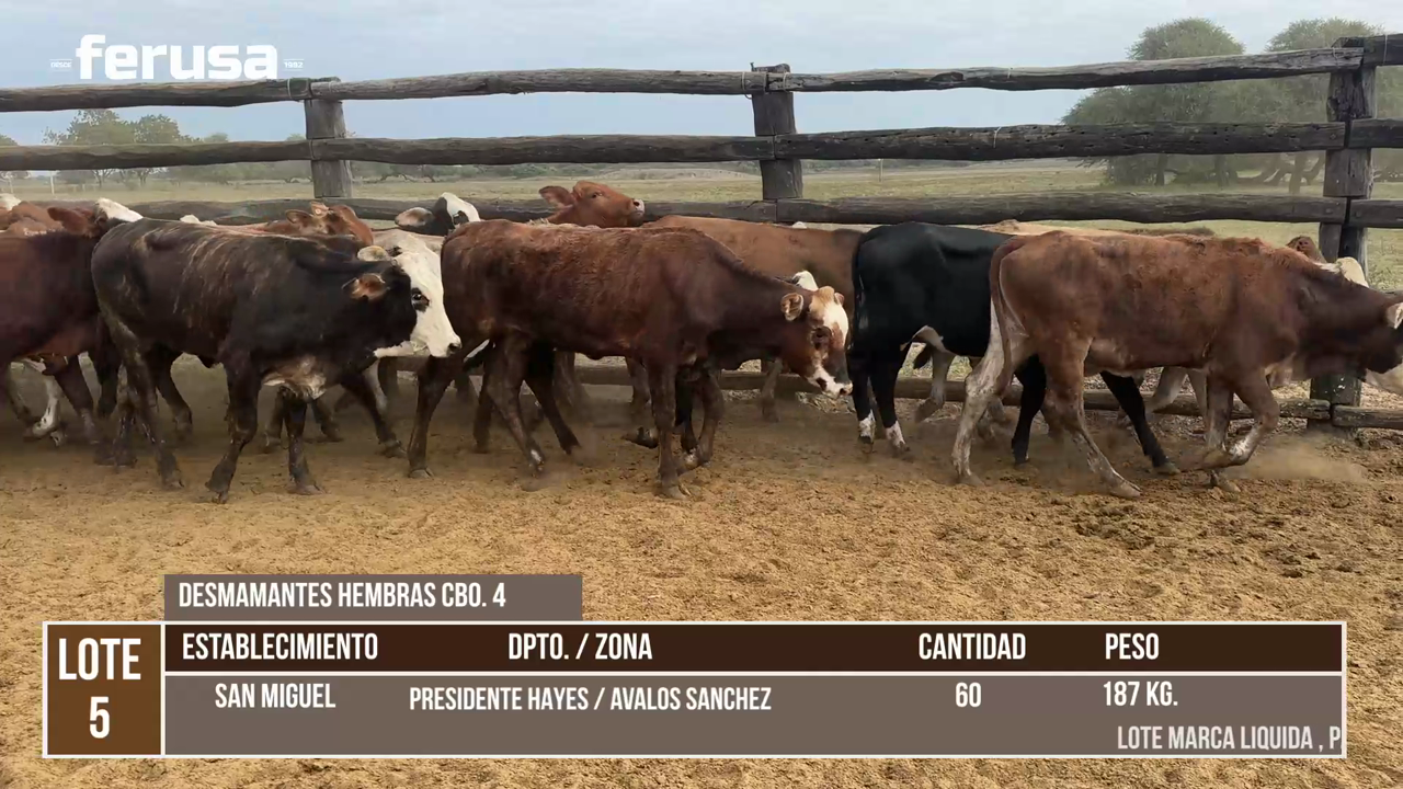 Ferusa - Subastas - LOTE 5