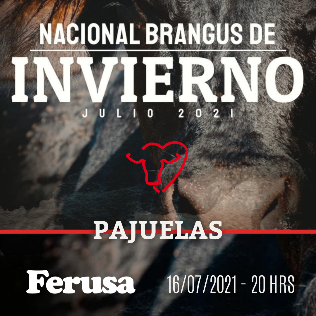 Ferusa - Subastas - Nacional Brangus de Invierno Pajuelas