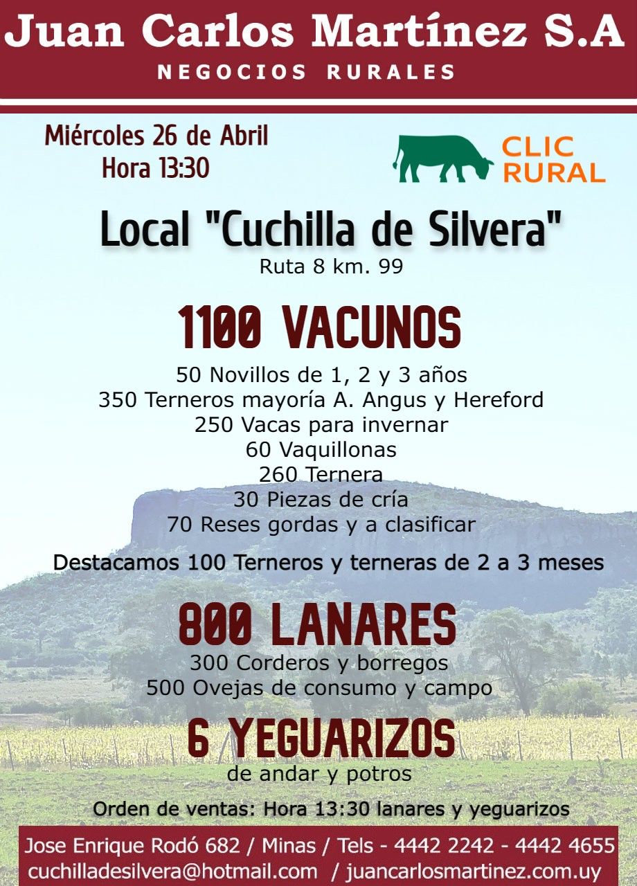En vivo Feria en Cuchilla de Silvera - ClicRural