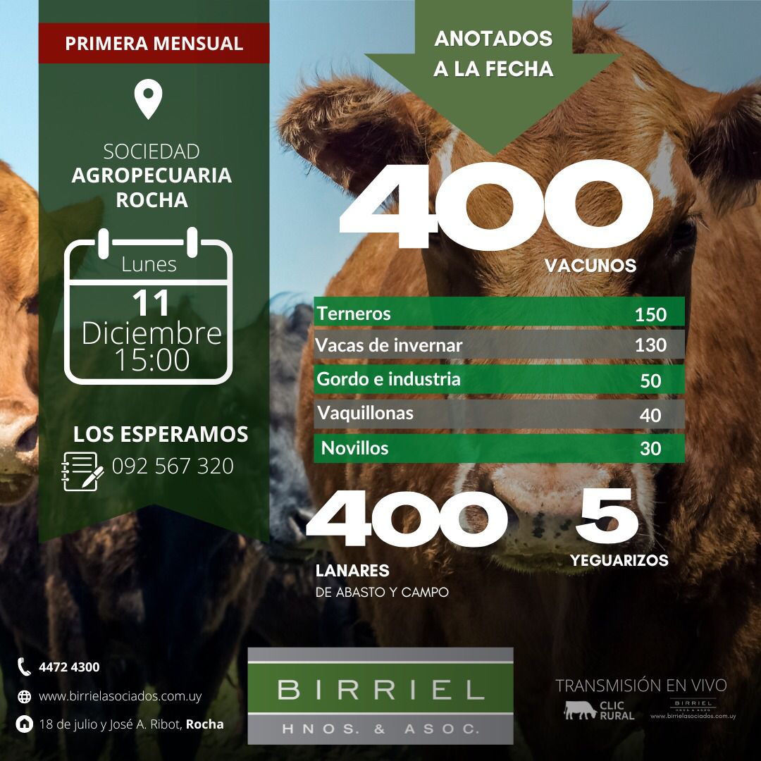 En vivo Feria en Asoc Agrop de Rocha - Birriel Hnos - ClicRural
